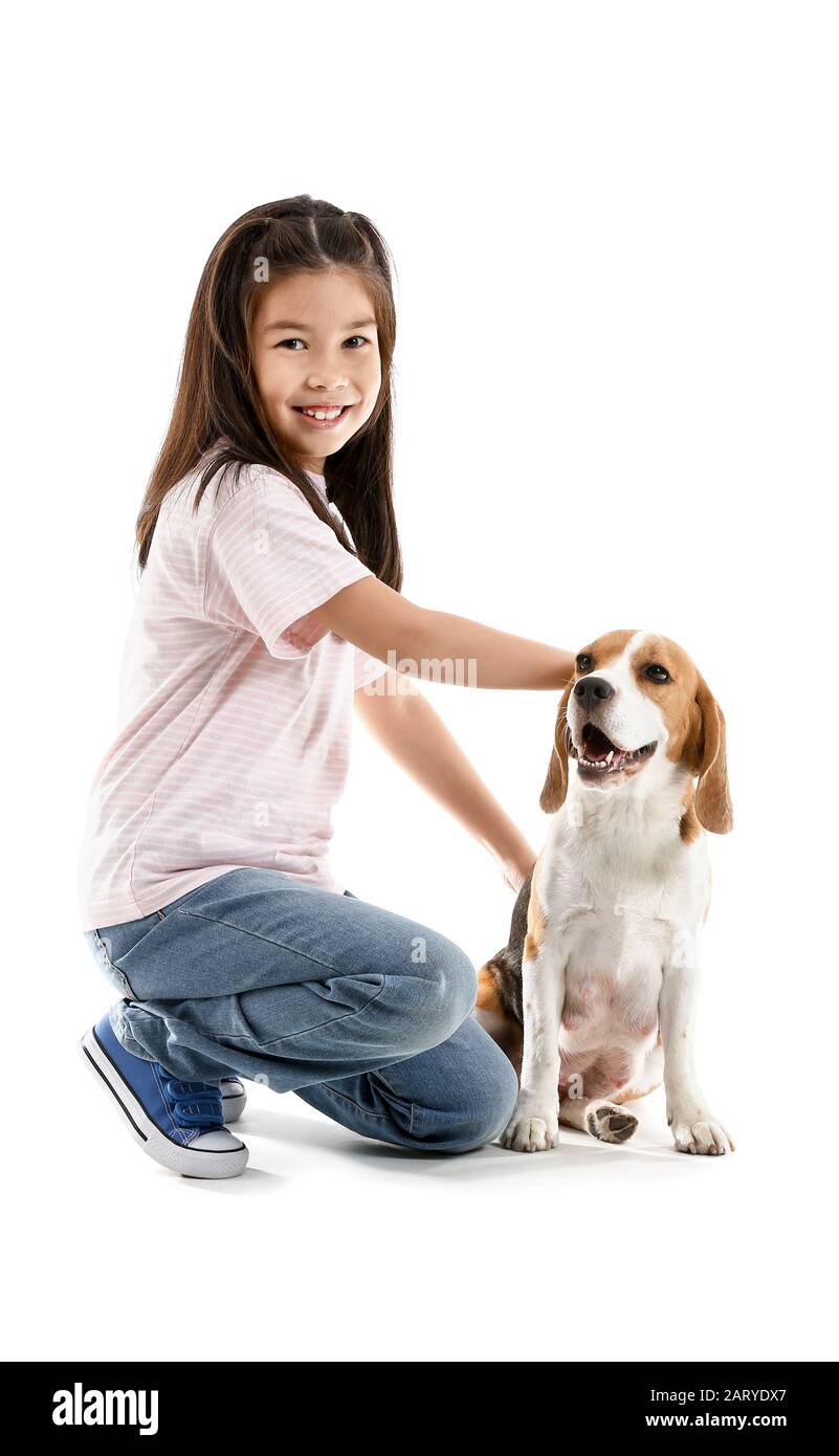 Little Asian girl with cute beagle dog on white background Stock Photo ...