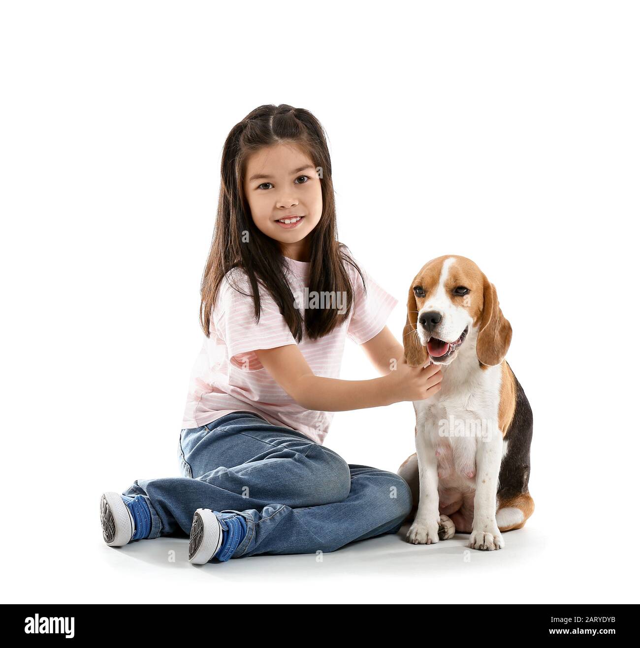 Little Asian girl with cute beagle dog on white background Stock Photo ...
