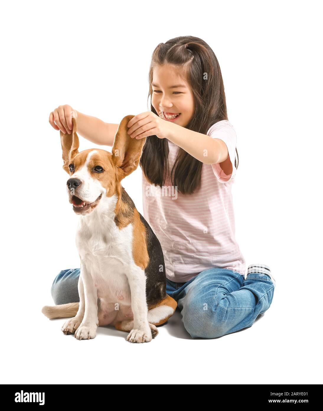 Little Asian girl with cute beagle dog on white background Stock Photo ...