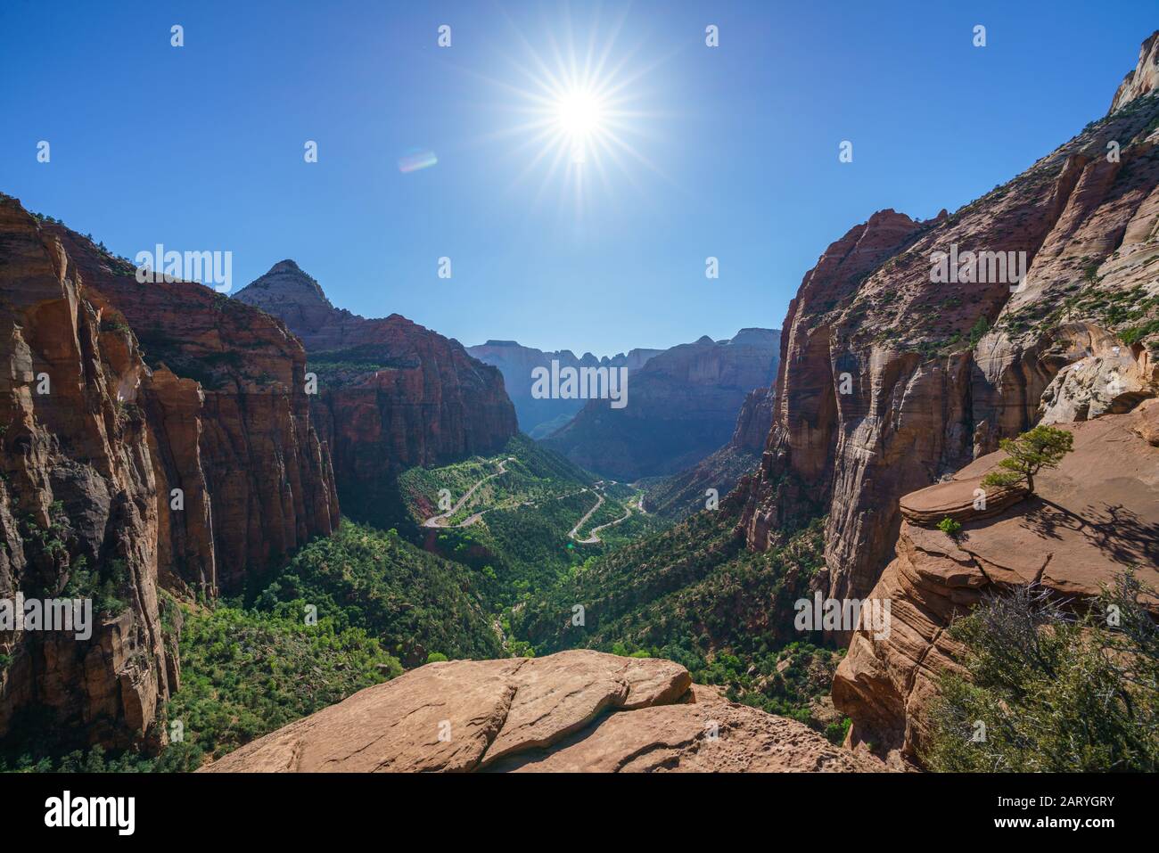 hiking the canyon overlook trail in zion national park in utah in the ...