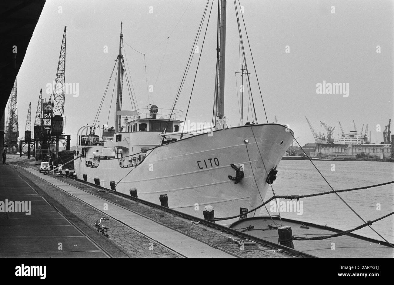 Peace ship of Abie Nathan still in the port of Adam: the whitepainted ...