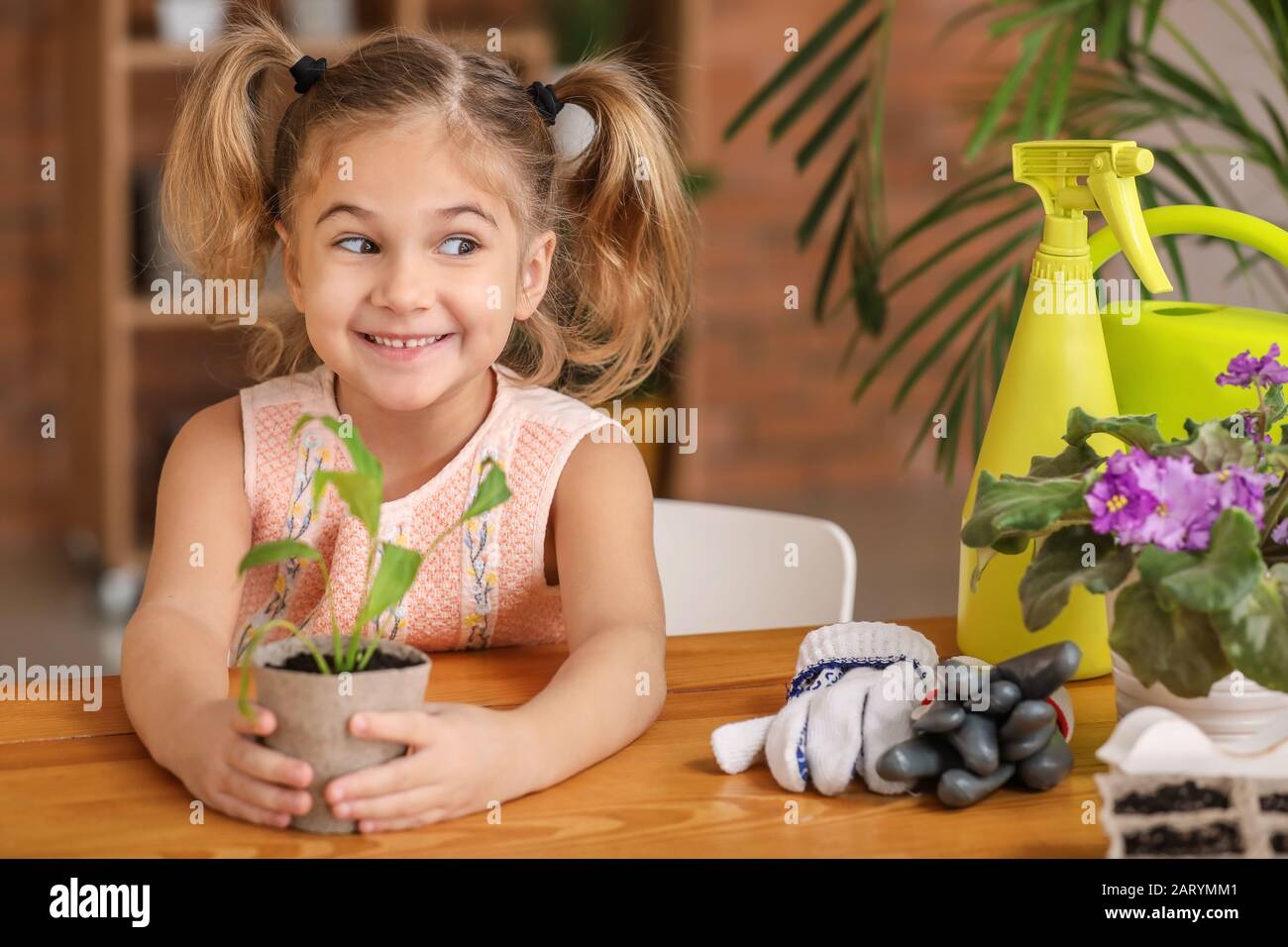 Happy little girl with young plant in pot at home Stock Photo - Alamy