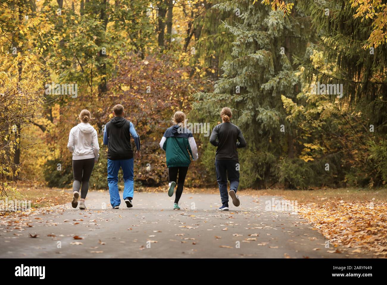 Woman group jogging autumn hi-res stock photography and images - Alamy