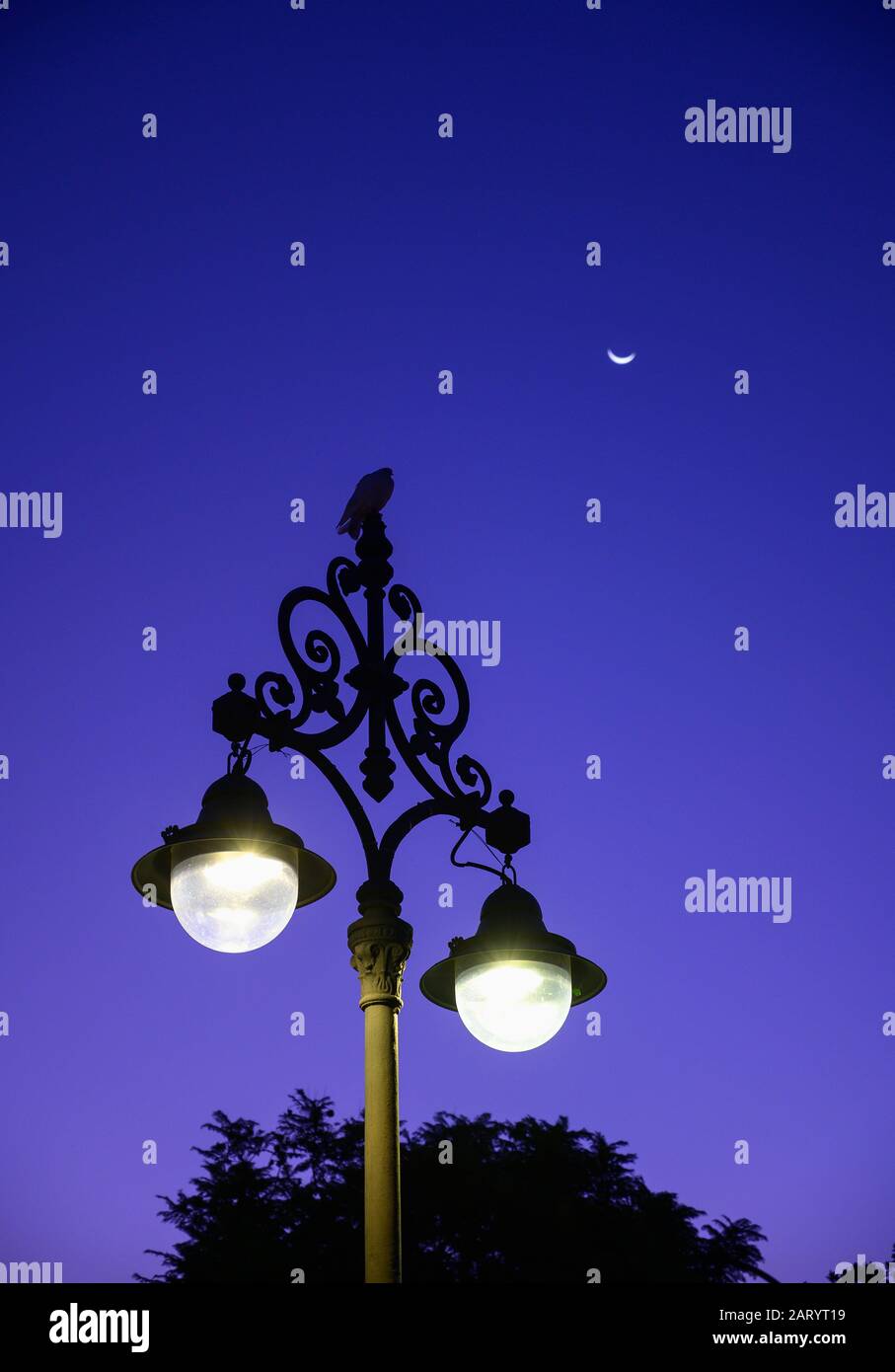 DECORATIVE STREETLIGHT AND CRESCENT MOON, SEVILLE, ANDALUSIA, SPAIN ...