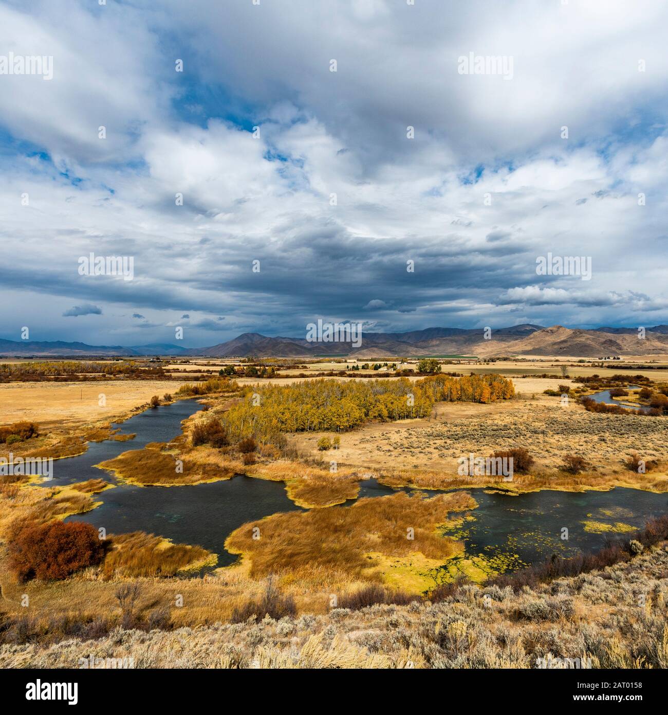 Marsh square hi-res stock photography and images - Alamy