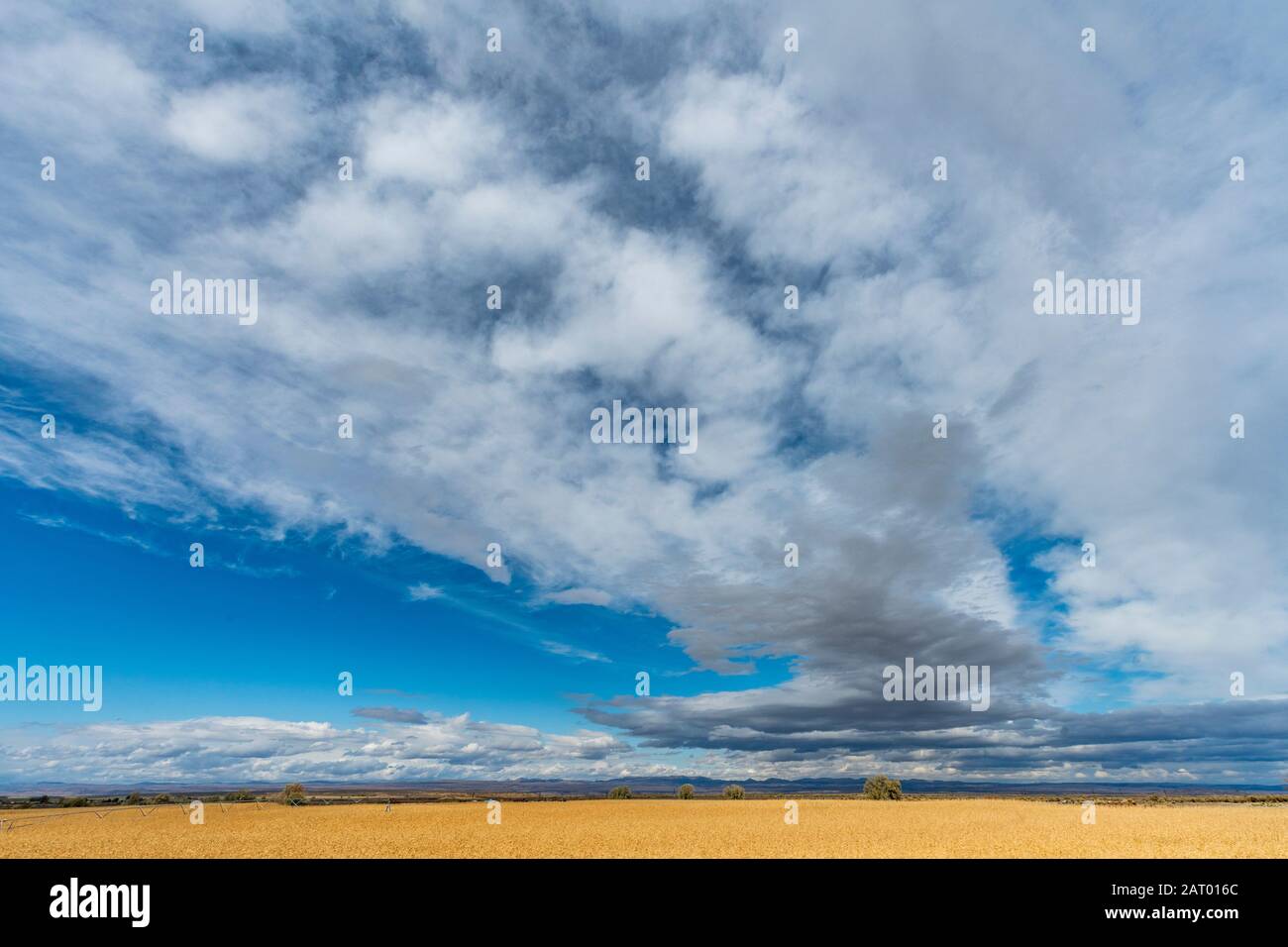 Field under cloud Stock Photo - Alamy