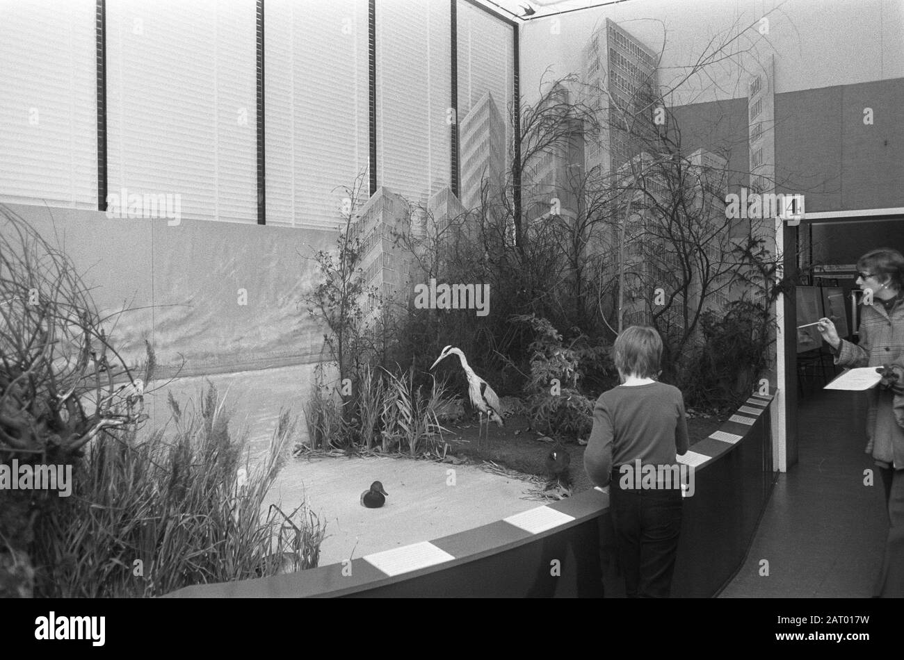 City habitats Black and White Stock Photos & Images - Alamy