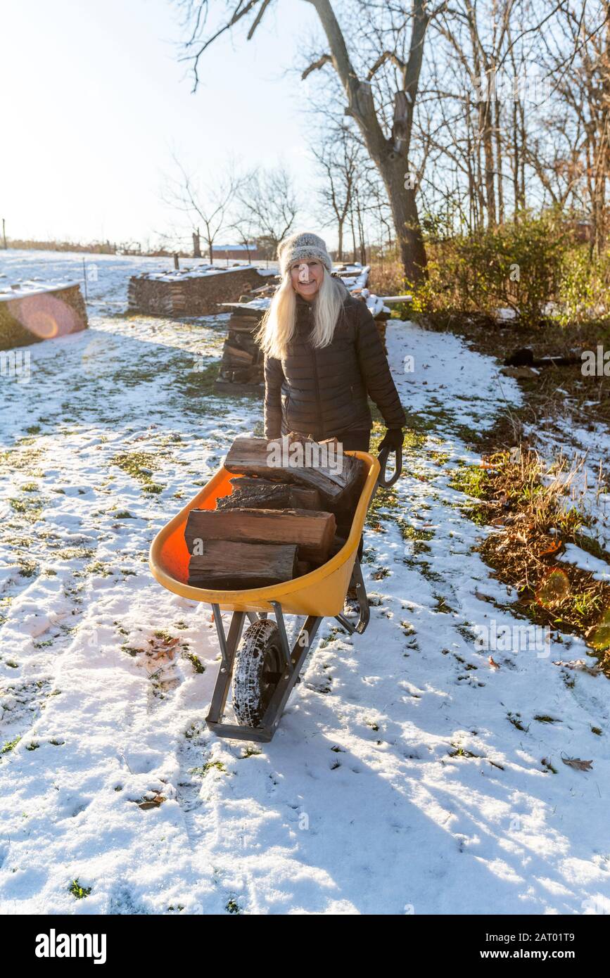 Woman holding wheelbarrow with logs in snow Stock Photo - Alamy