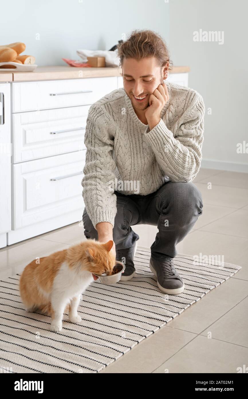 Man feeding cute cat in kitchen Stock Photo - Alamy