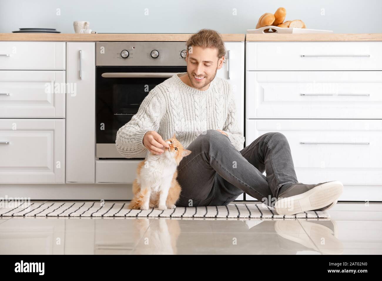 Man feeding cute cat in kitchen Stock Photo - Alamy