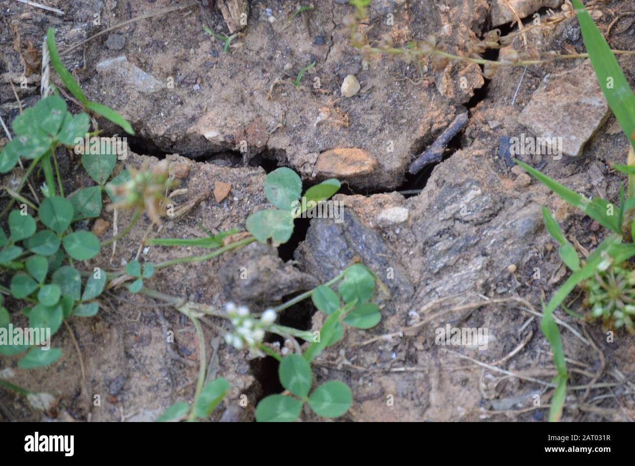 Sad earth hi-res stock photography and images - Alamy