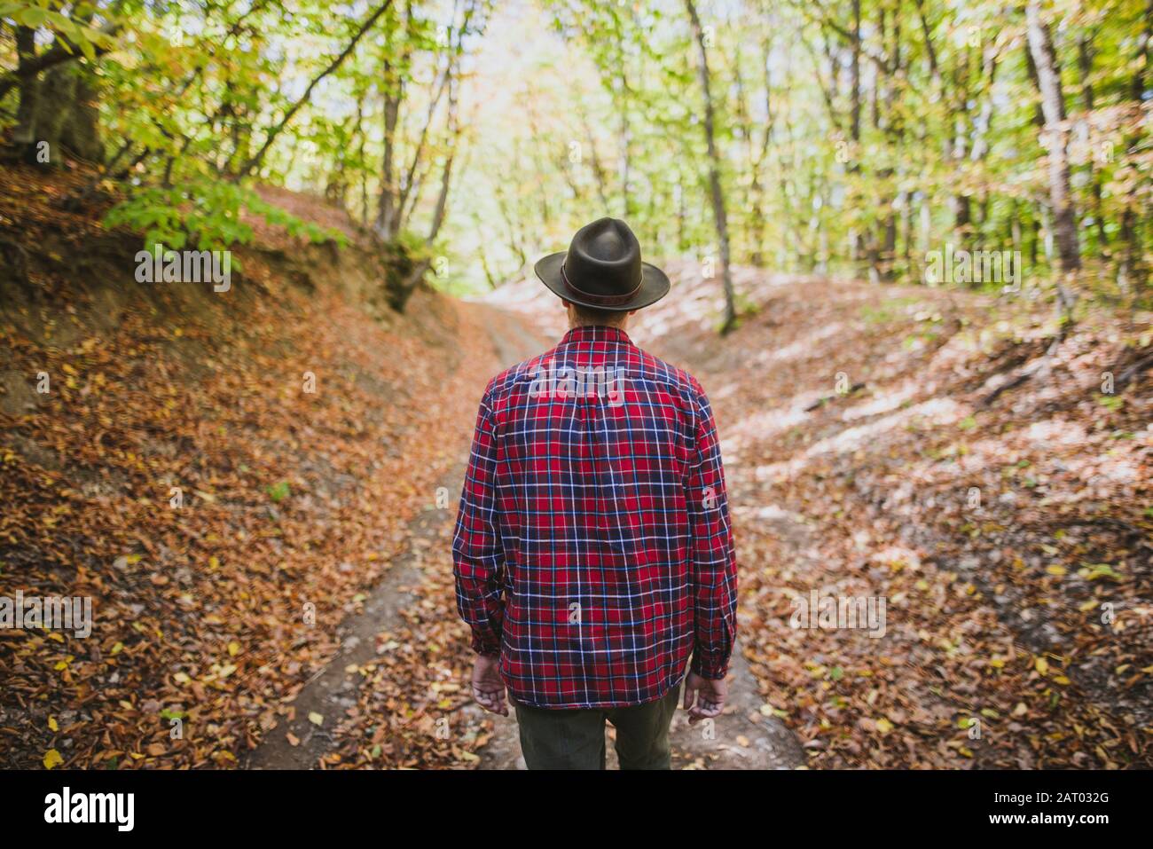 Man wearing red shirt in forest Stock Photo - Alamy