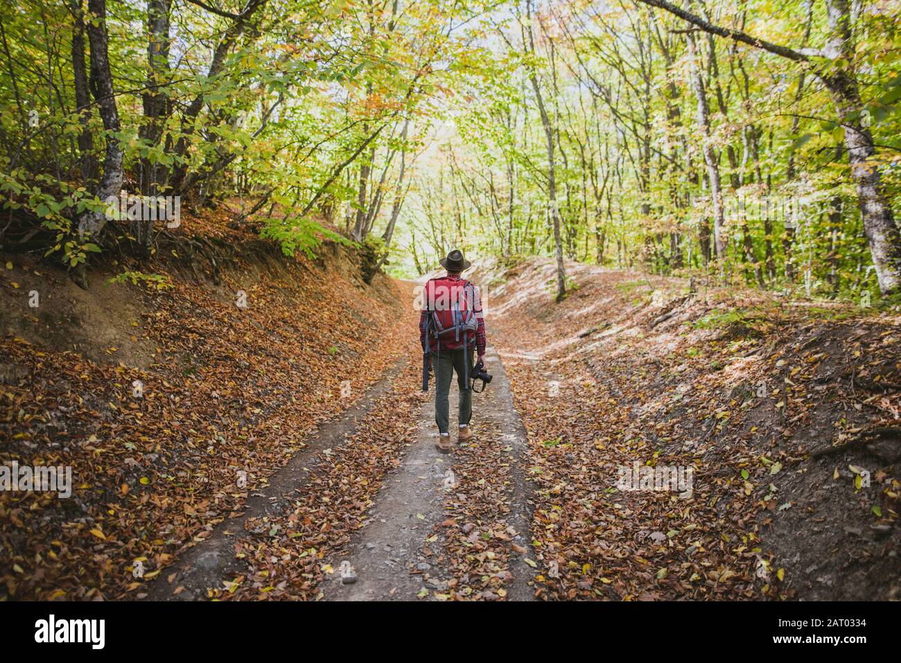 Man hiking in forest Stock Photo - Alamy
