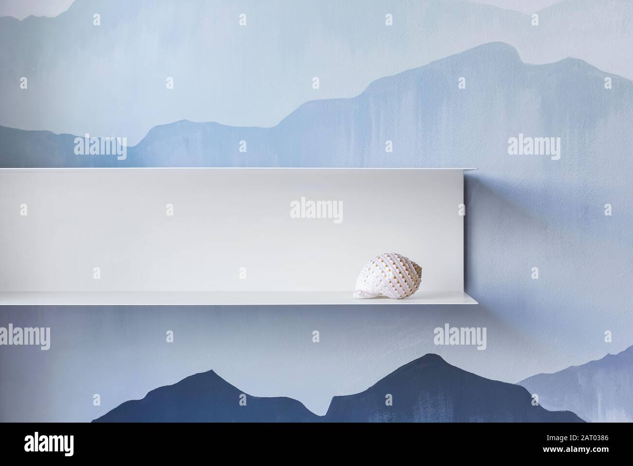 Seashell shelf hi-res stock photography and images - Alamy