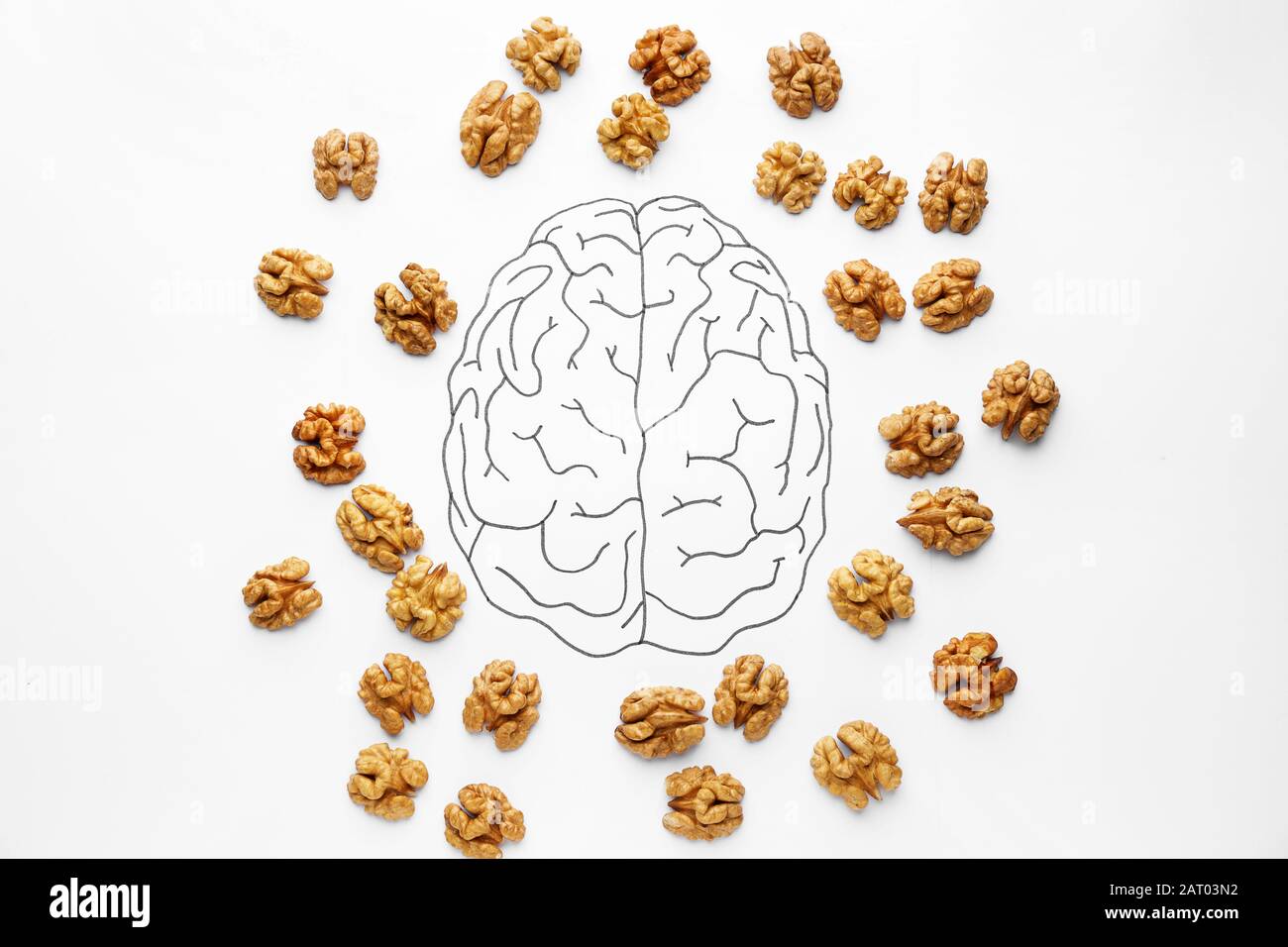 Tasty walnuts with drawn brain on white background Stock Photo - Alamy
