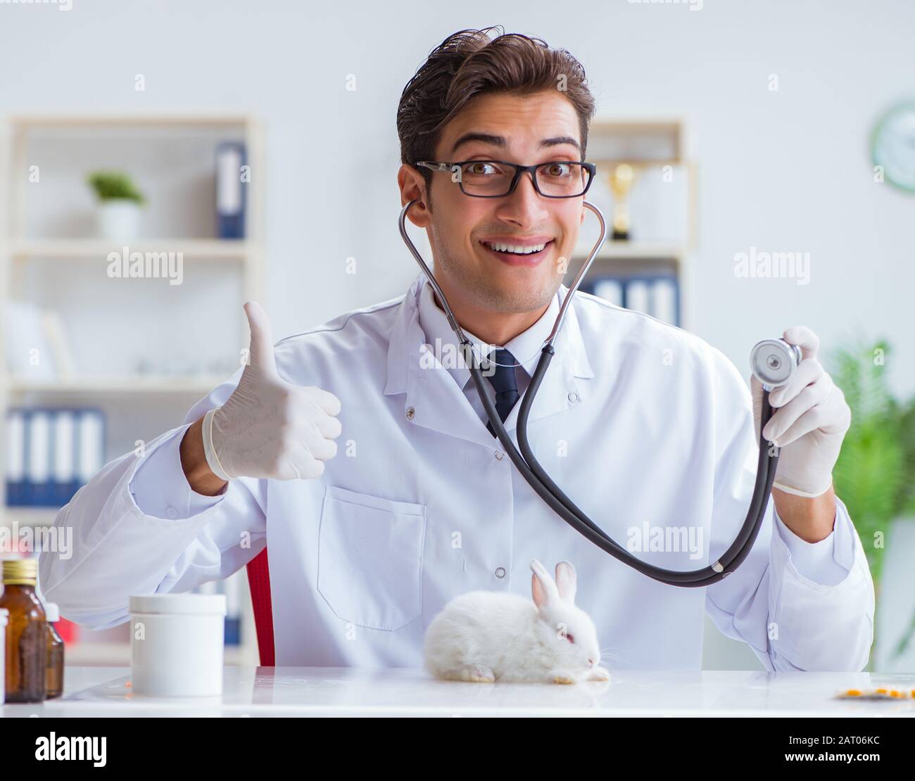 The vet doctor examining rabbit in pet hospital Stock Photo - Alamy