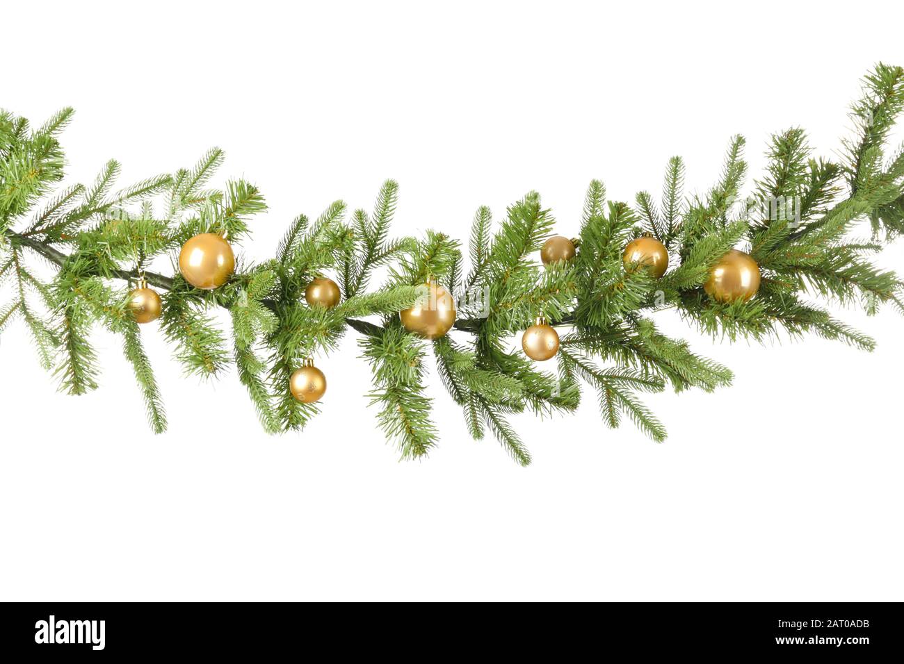 Beautiful Christmas tree branch on white background Stock Photo - Alamy