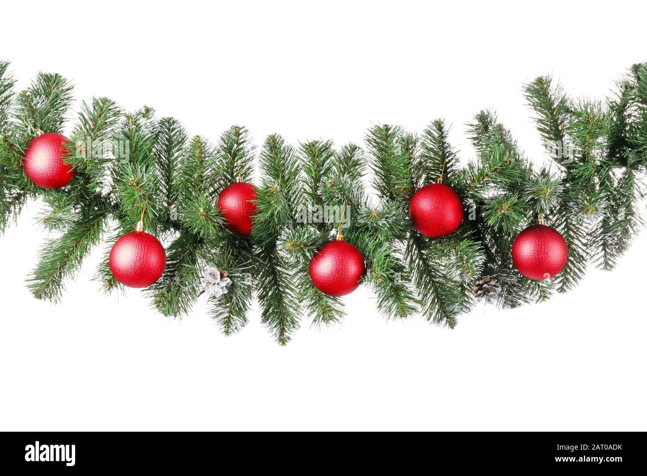 Beautiful Christmas tree branch on white background Stock Photo - Alamy