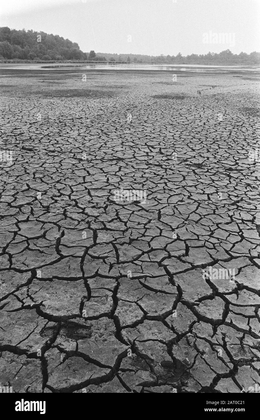 Drought: cracked plain at Leersum Date: July 16, 1976 Location: Leersum ...