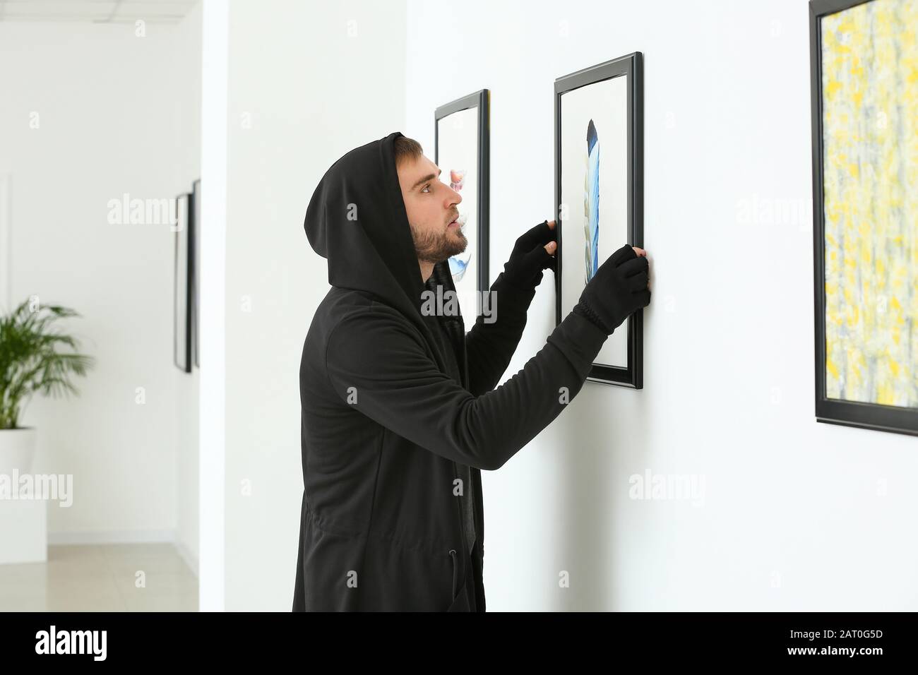 Thief stealing picture from art gallery Stock Photo - Alamy