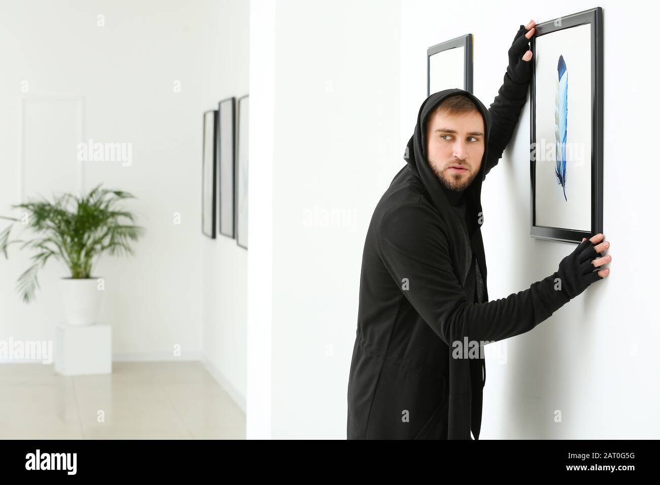 Thief stealing picture from art gallery Stock Photo - Alamy