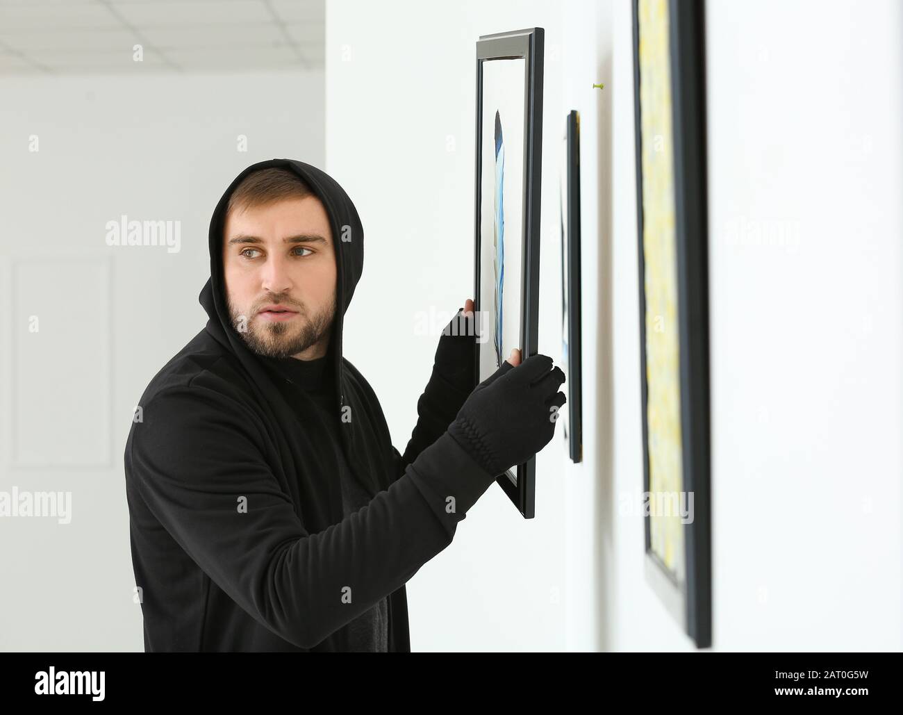 Thief stealing picture from art gallery Stock Photo - Alamy