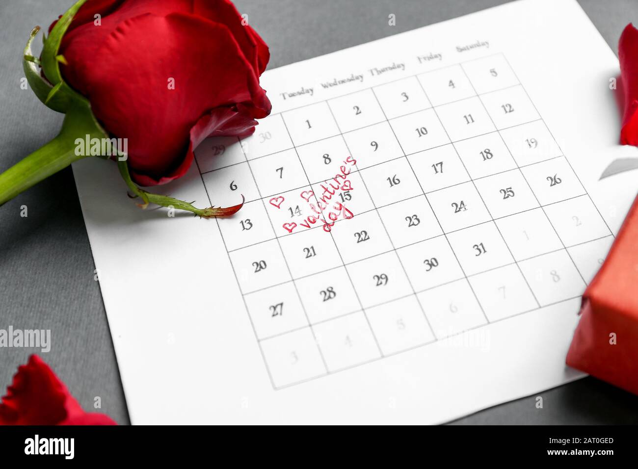 Calendar with marked date of Valentine's Day and rose on grey ...