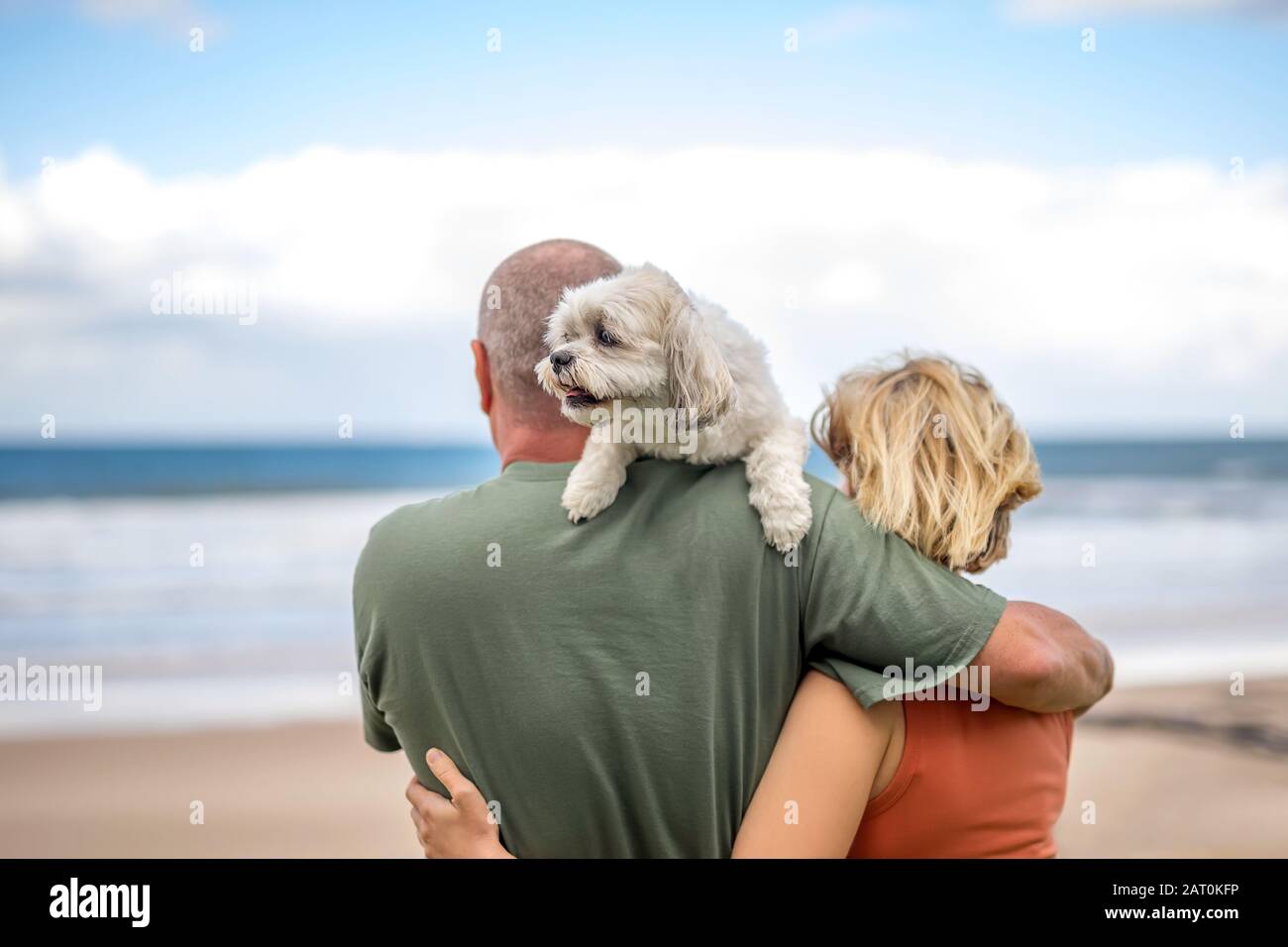 Hugging dog no face hi-res stock photography and images - Alamy