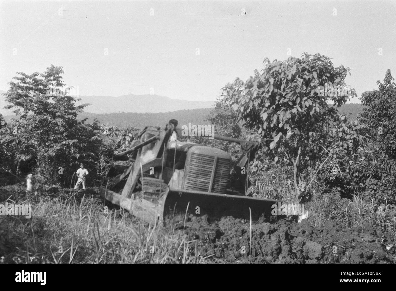 New Guinea series A bulldozer Date: October 1948 Location: New Guinea ...