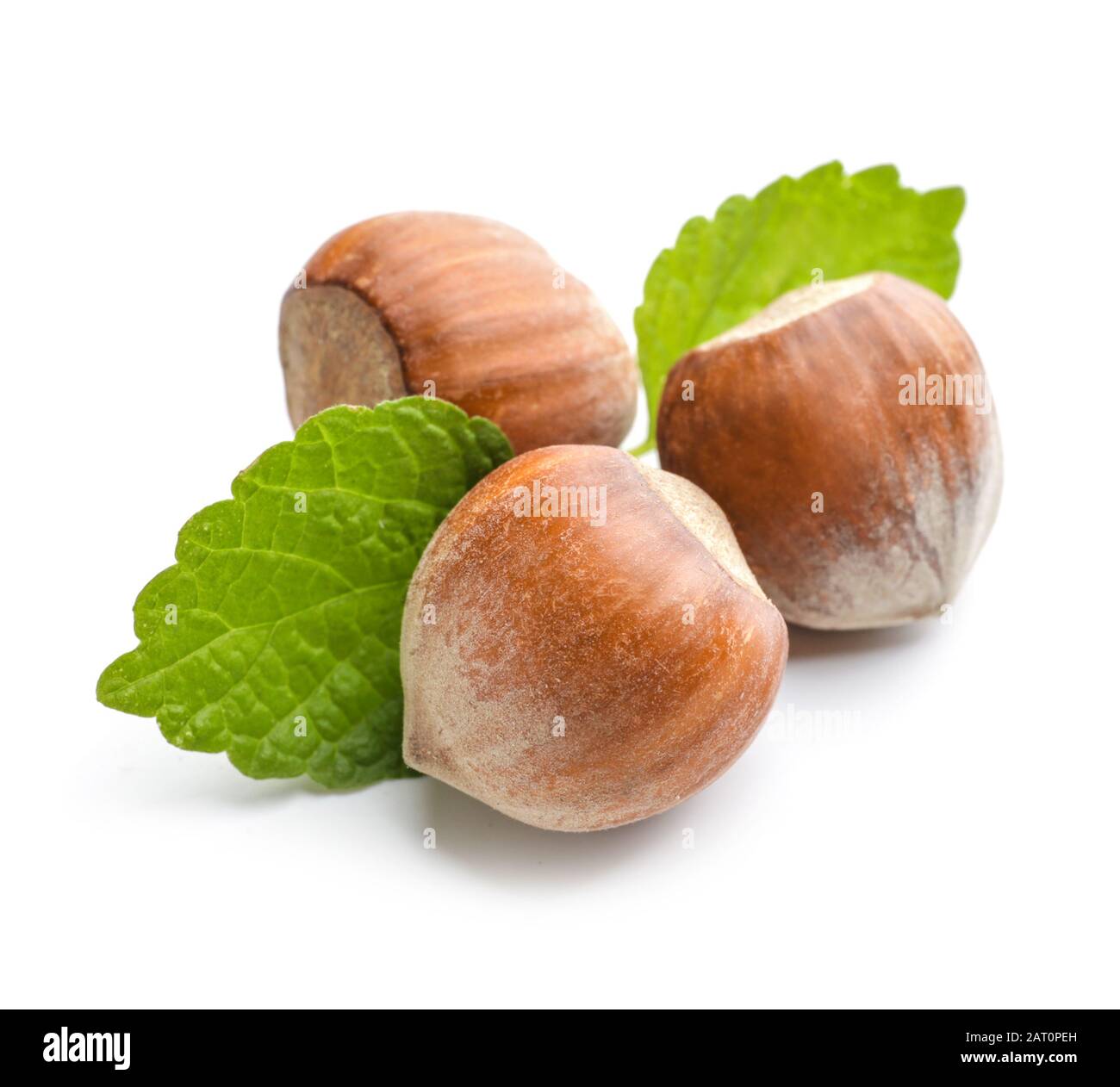 Tasty hazelnuts on white background Stock Photo - Alamy