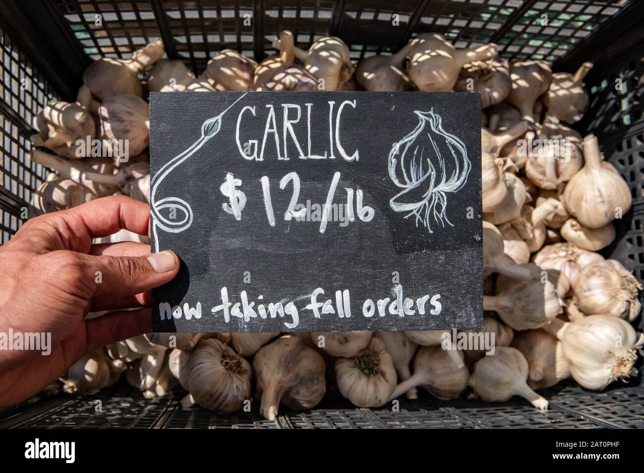 Hand written blackboard sign with the price of garlic at the local ...