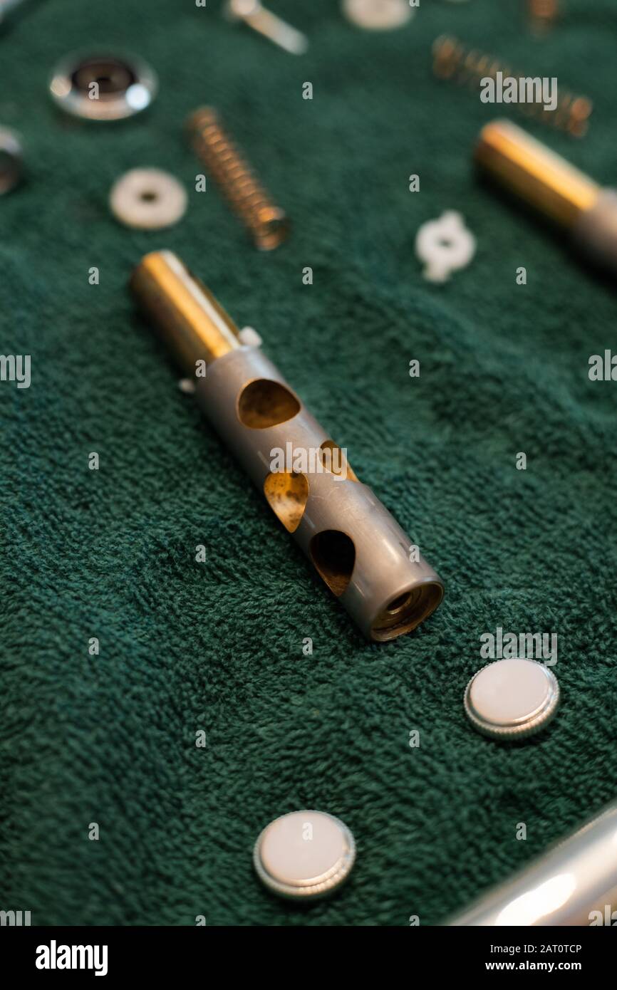 Brass metal trumpet valve completely disassembled lying on a green ...