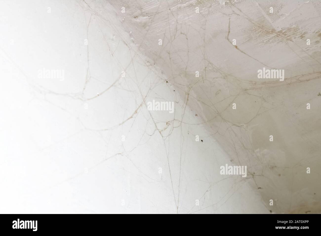 A lot of cobwebs on the white ceiling Stock Photo - Alamy