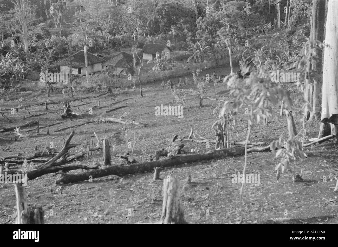 Dutch east indies cut forest hi-res stock photography and images - Alamy