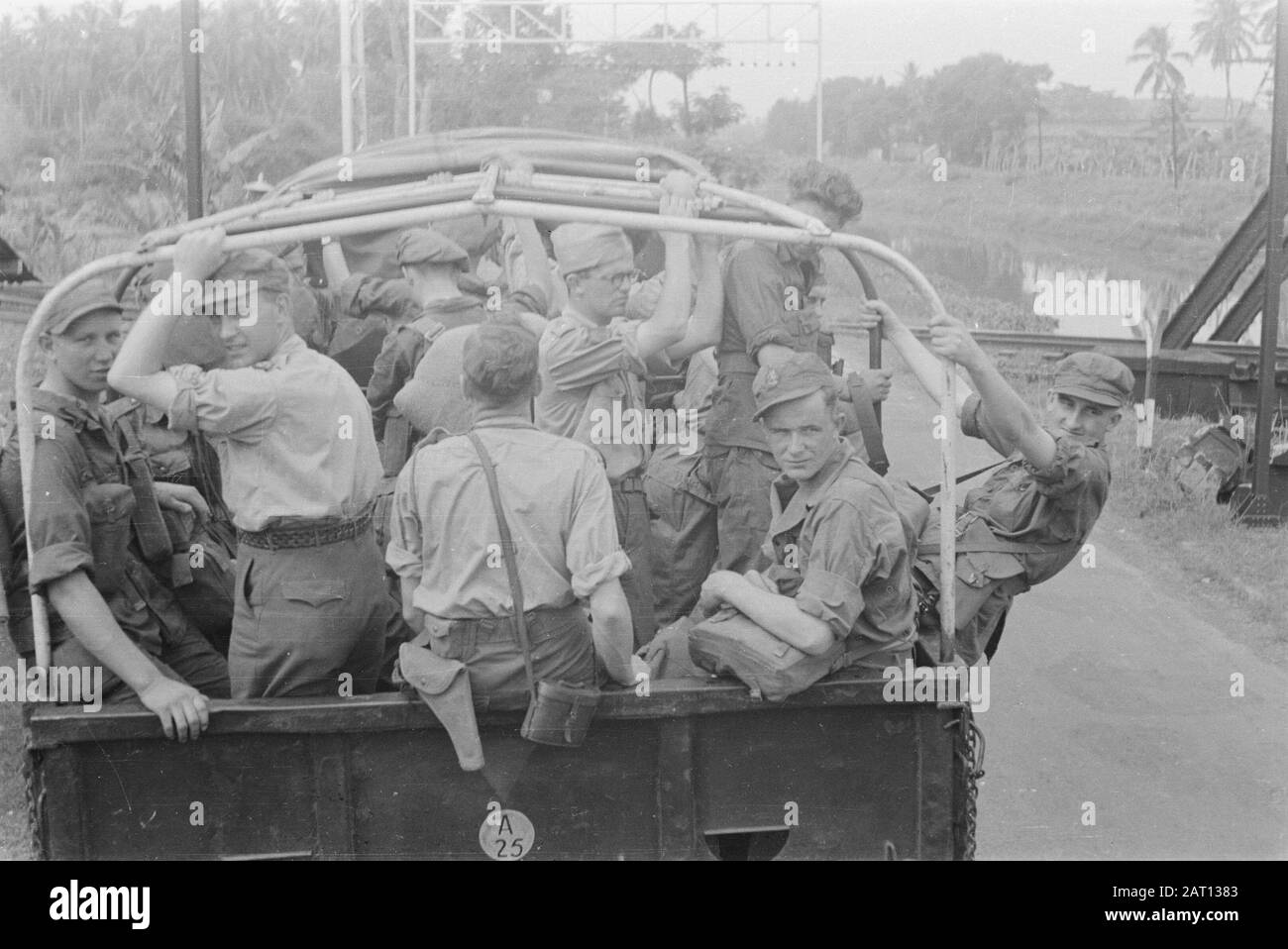 Tree alloy hi-res stock photography and images - Alamy