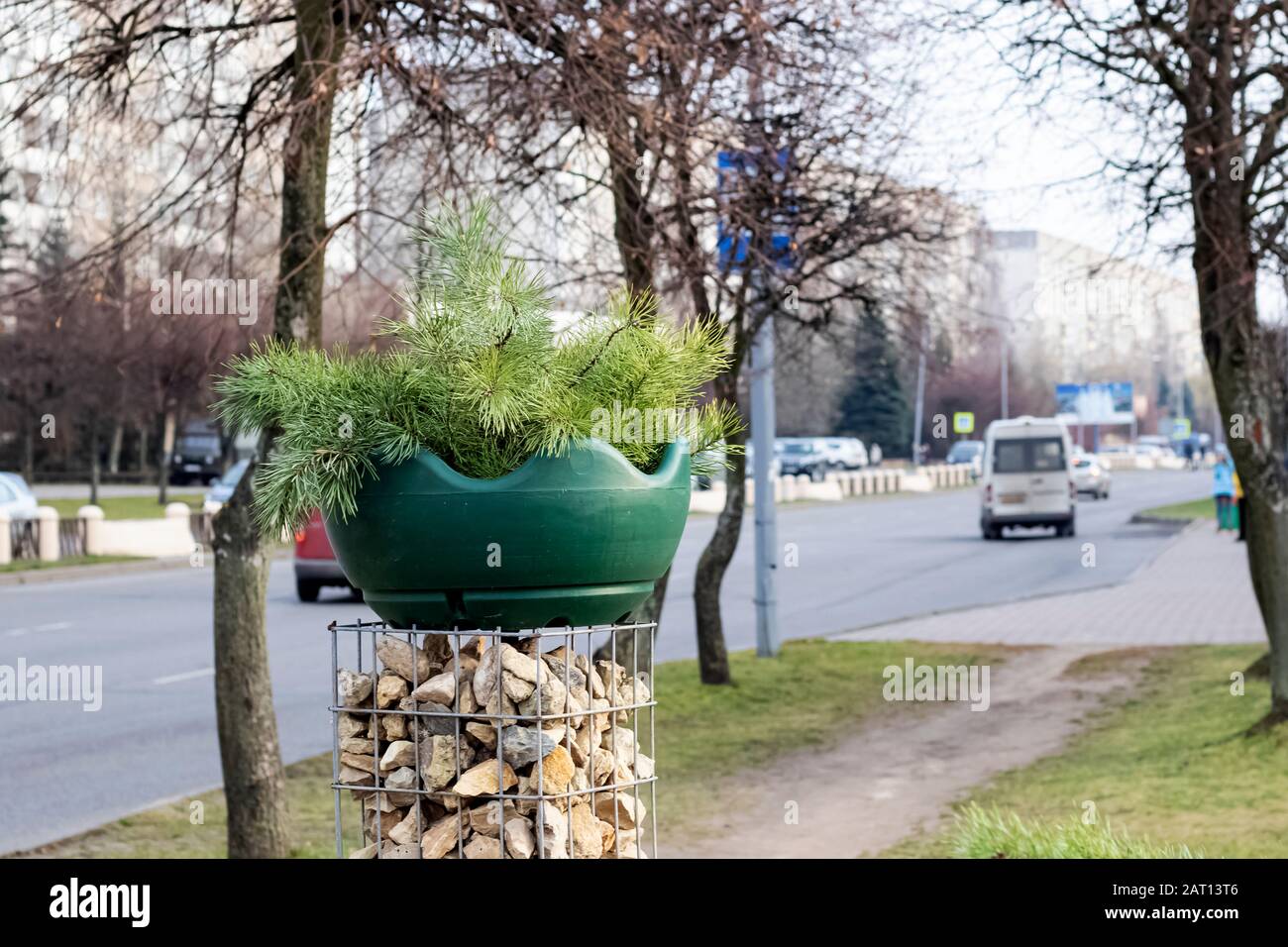 Pot with street plant on background of road Stock Photo - Alamy
