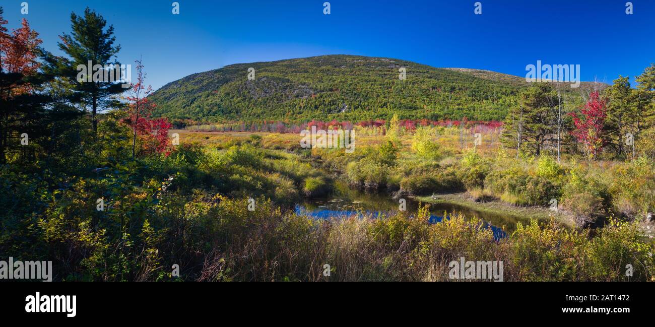 Autumn at Great Meadow in Acadia National Park, Maine, USA Stock Photo ...