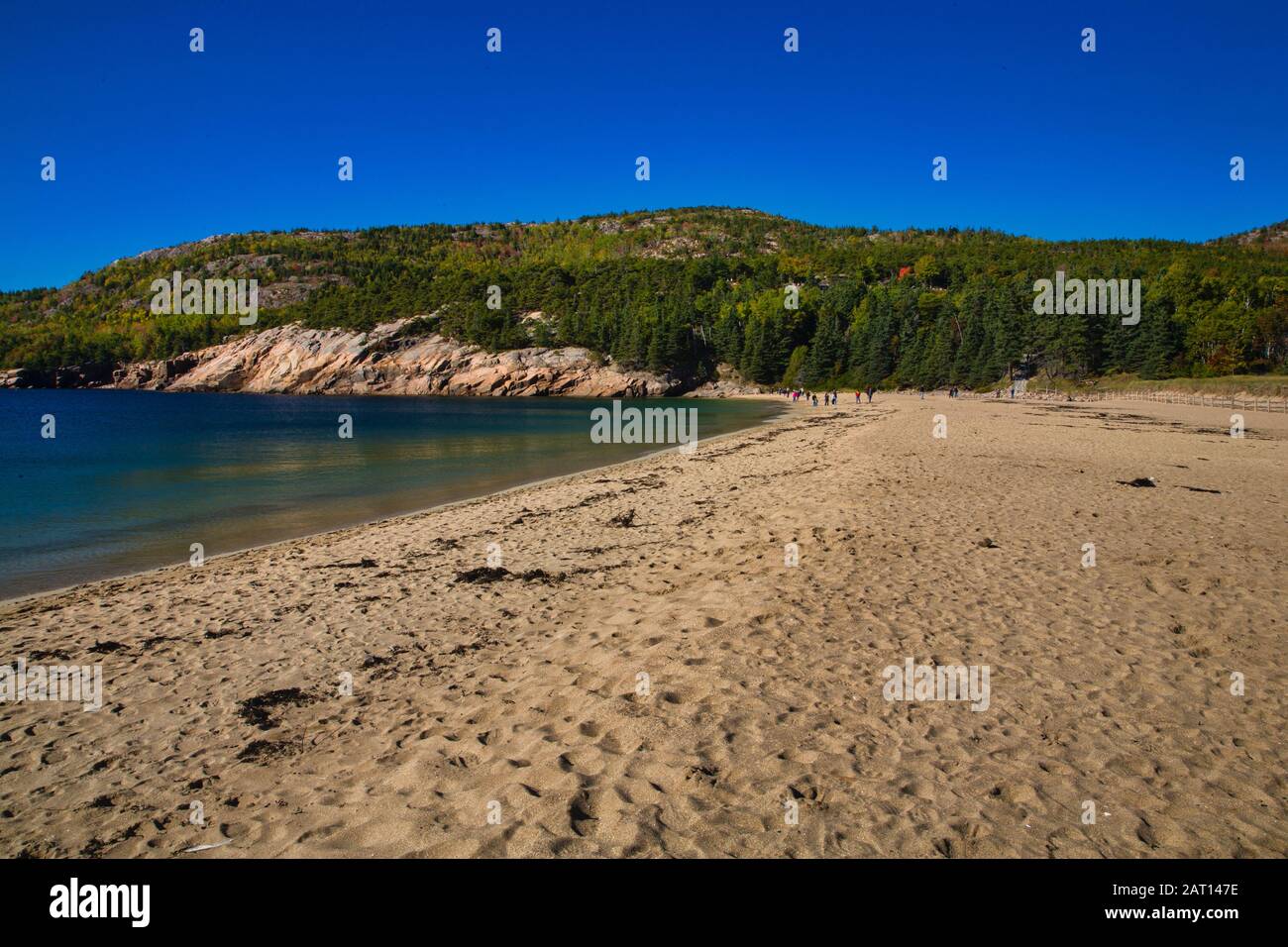 Sand Beach in Acadia National Park, Maine, USA Stock Photo - Alamy
