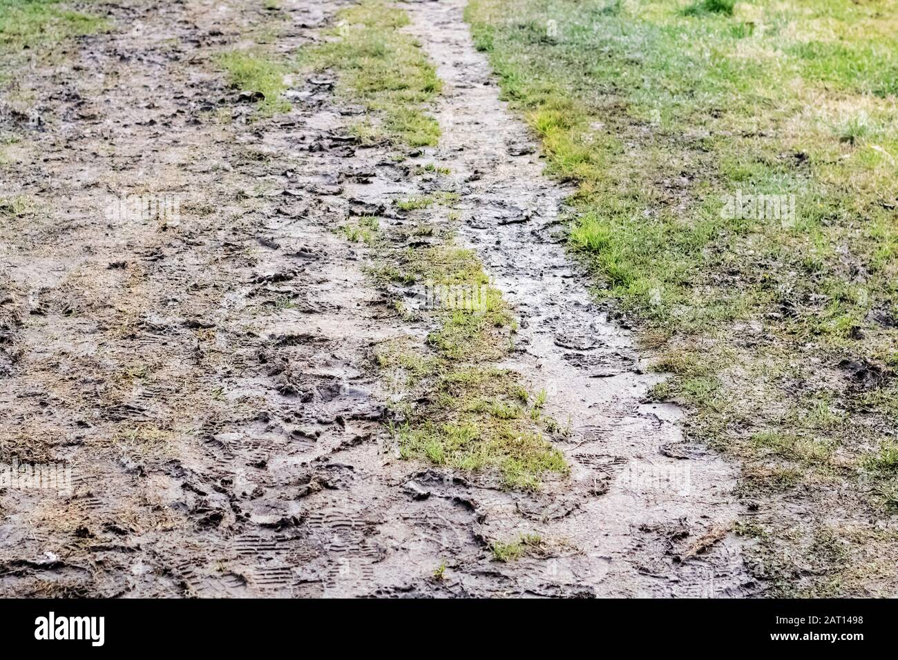 Wet mud on a path with yellow leaves Stock Photo - Alamy
