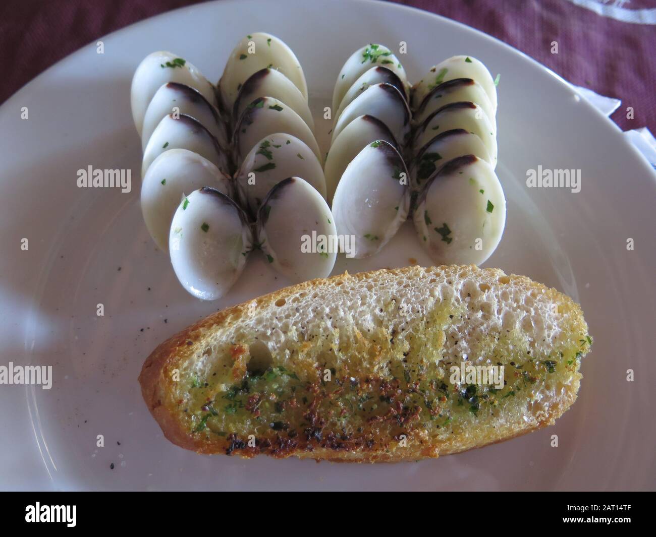 Neatly arranged clam shells on plate after delicious meal at Andalusian ...