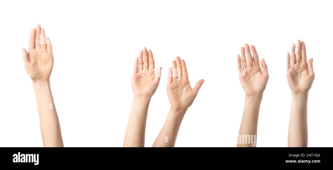 Hands of voting people on white background Stock Photo - Alamy