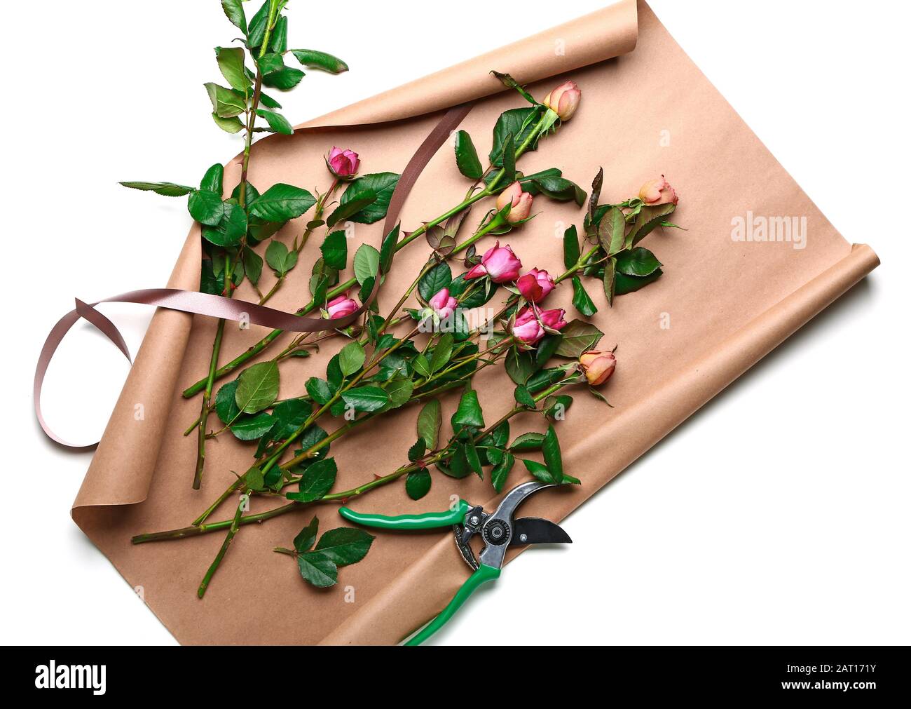 Beautiful flowers with wrapping paper and pruner on white background ...