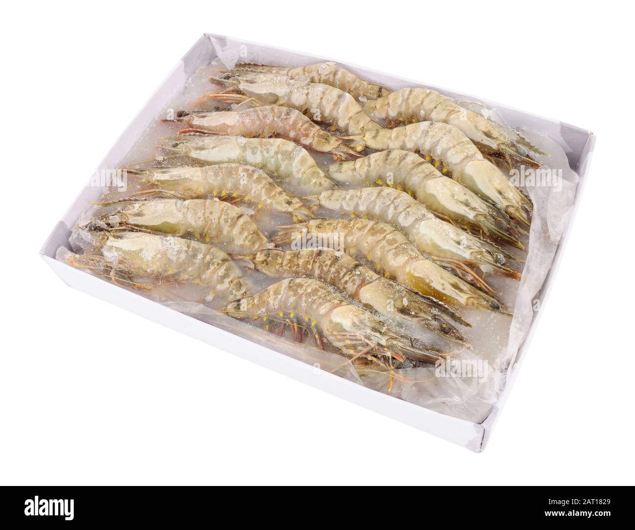 Black tiger prawns Cut Out Stock Images & Pictures - Alamy