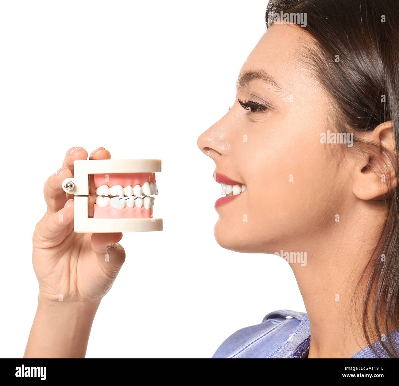 Beautiful woman with model of jaw on white background Stock Photo - Alamy