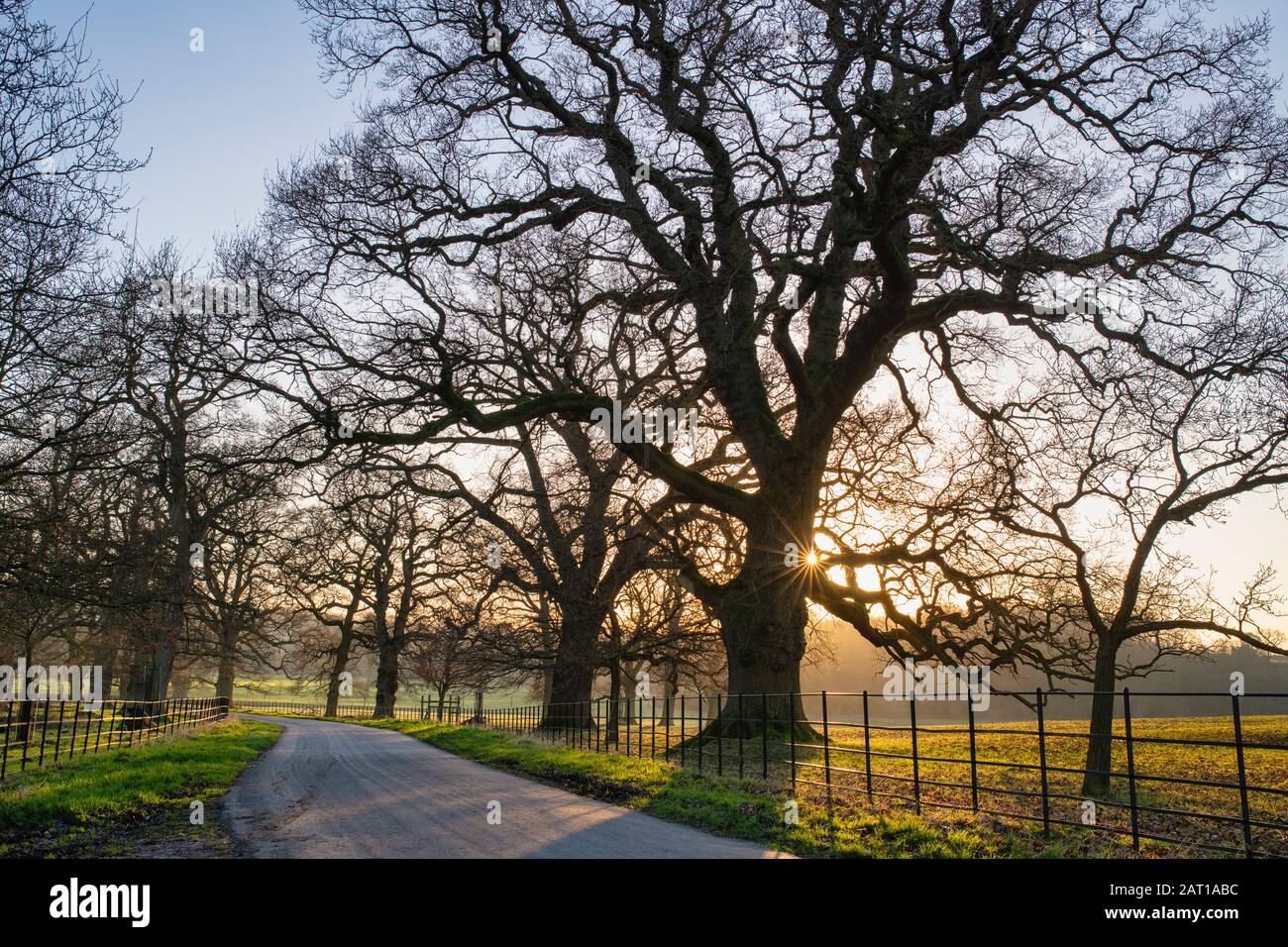 English Winter High Resolution Stock Photography and Images - Alamy