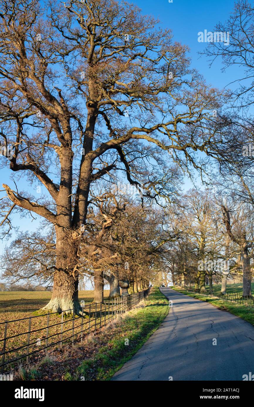 Late afternoon sunlight casting shadows hi-res stock photography and ...