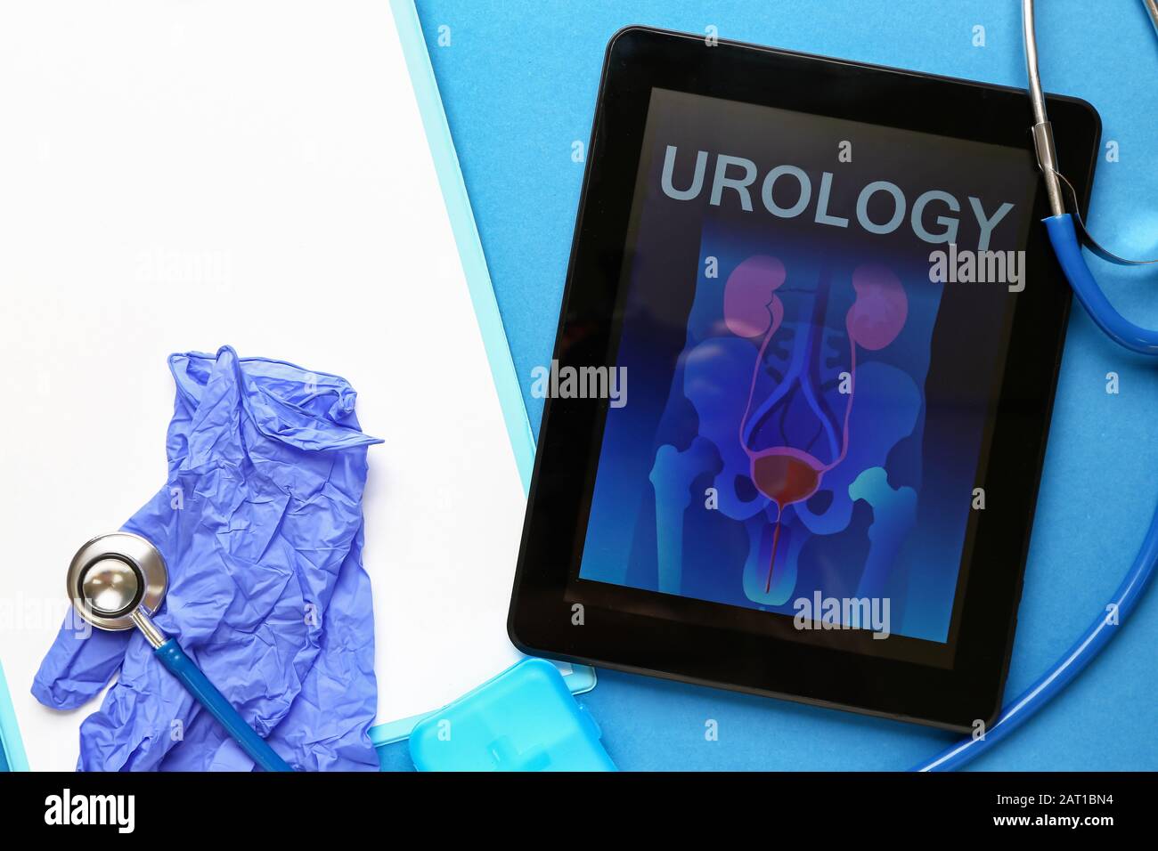 Tablet computer with picture of urogenital system on screen ...