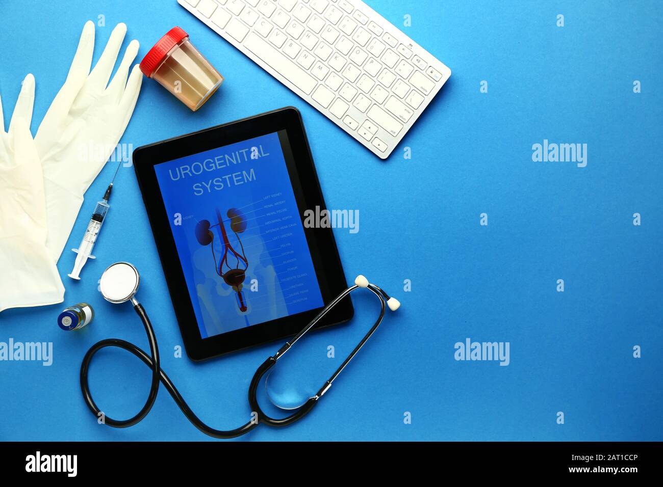 Tablet computer with picture of urogenital system on screen, gloves ...