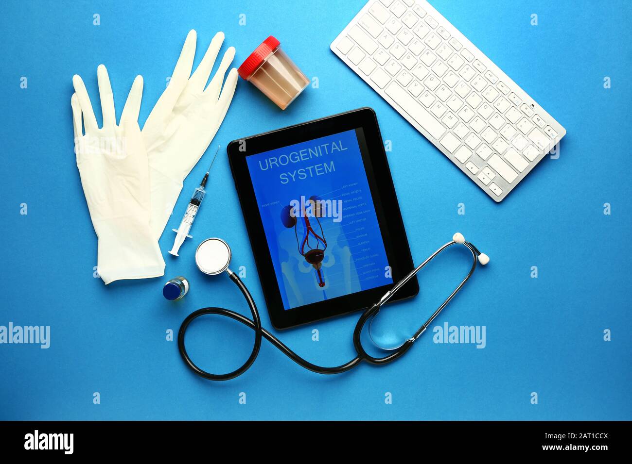 Tablet computer with picture of urogenital system on screen, gloves ...