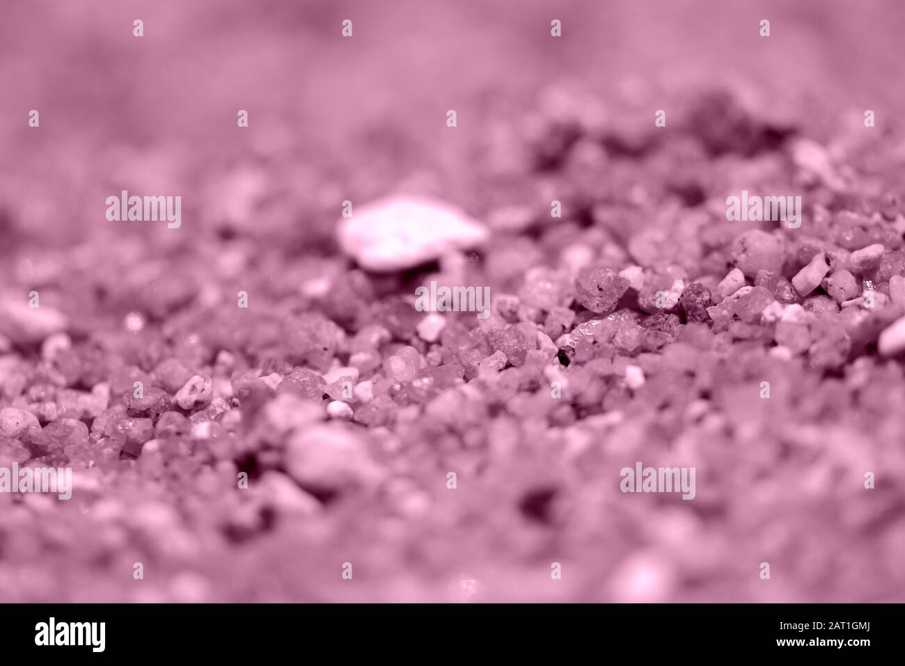 Coastal sand texture close-up. Natural background pink color toned ...